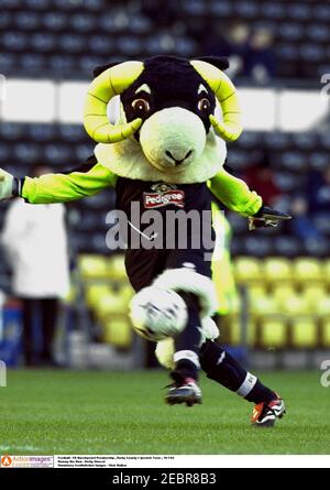 Derby County mascot Rammy the Ram Stock Photo - Alamy