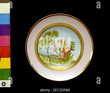 White House China. Plate from the White House china collection Stock ...