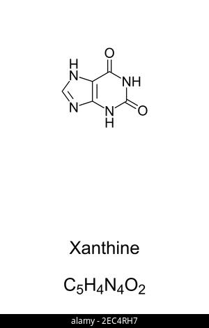 Xanthine purine base molecule. Skeletal formula Stock Photo - Alamy