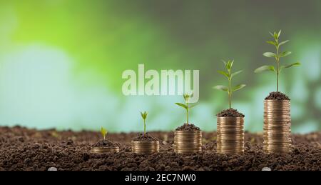 Plants Growing Out Of Coin Stacks In Garden - Investing Concept Stock ...
