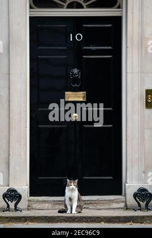 Larry the cat, Britain's Chief Mouser walks outside 10 Downing Street ...