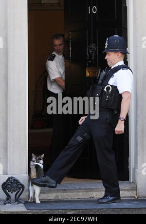 Larry the cat, Britain's Chief Mouser walks outside 10 Downing Street ...