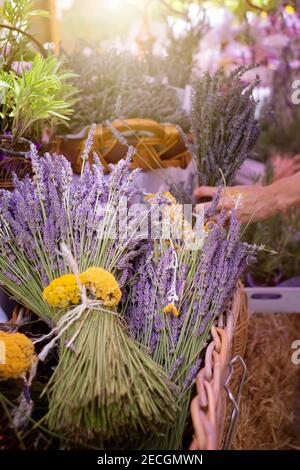 Bunch of dried flower in hand on dark background Stock Photo - Alamy