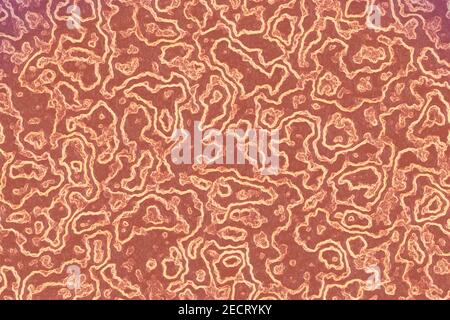 amazing artistic computer multi colored acid toxic template digital graphics texture background ...