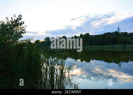 Lake Pishchevoye with green hills, unusual trees, reeds and vegetation ...