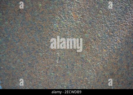 Metallic building structural sheet painted Stock Photo - Alamy