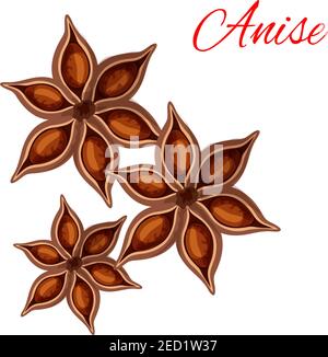 star anise flower decoration Stock Vector Image & Art - Alamy
