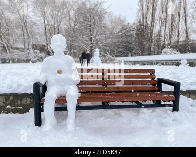 Seattle, USA. 13th Feb, 2021. Mid-day a Snow Fox at the Seattle Center ...