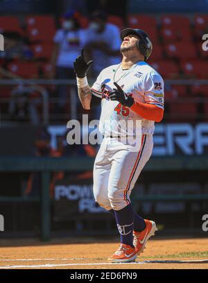 MAZATLAN, MEXICO - JANUARY 31: Alexis Wilson catcher of Tomateros de ...