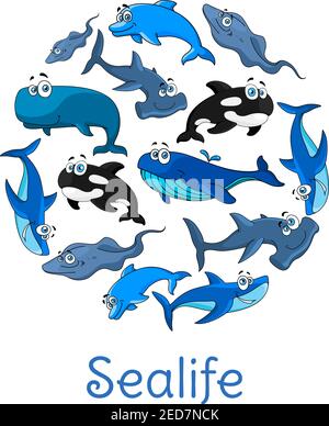 Sealife poster of sea dolphin, whale and shark, seal, starfish and ...