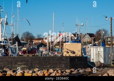 Roedvig Denmark - December 4. 2017: Herring being unloaded from boat to ...