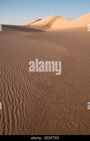 A giant whaleback sand dune stretching across the Great Sand Sea, in ...
