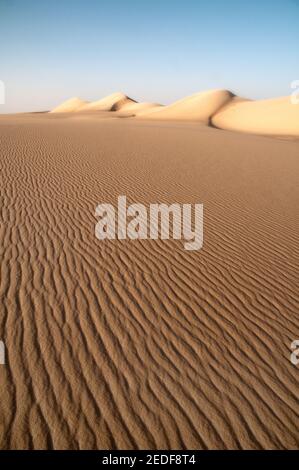 A giant whaleback sand dune stretching across the Great Sand Sea, in ...