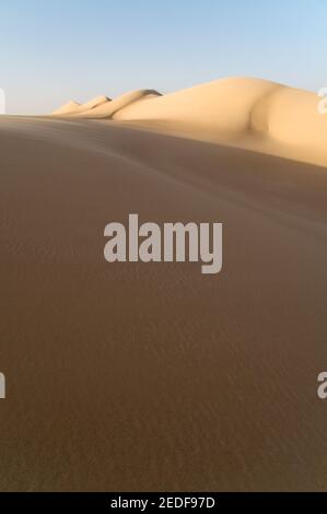 A giant whaleback sand dune stretching across the Great Sand Sea, in ...