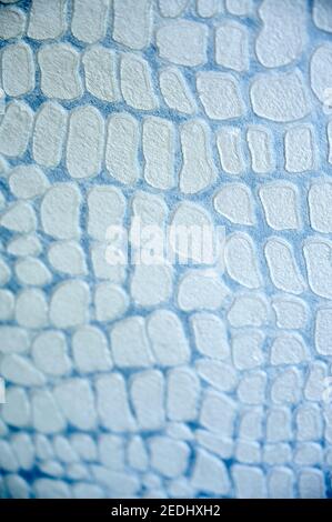 Imitation skin. Close-up of the surface of a latex material designed to ...