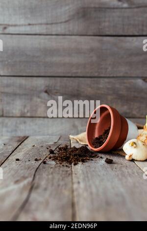 Overturned terracotta flower pot with soil and plant isolated on white ...