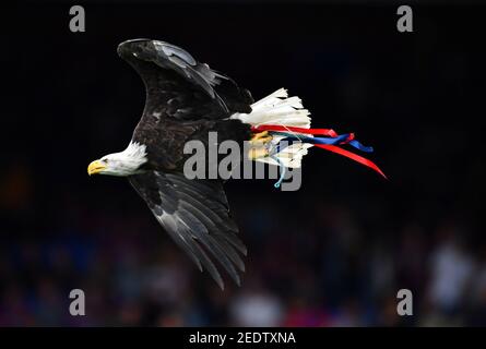 Kayla the Eagle, Crystal Palace mascot, during the Barclays Premier ...