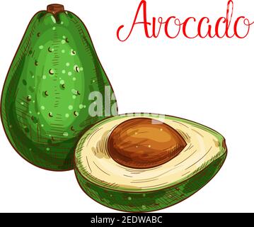 slice of avocado Stock Vector Image & Art - Alamy