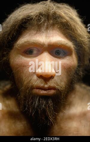 Homo heidelbergensis. This species of early human was first discovered ...