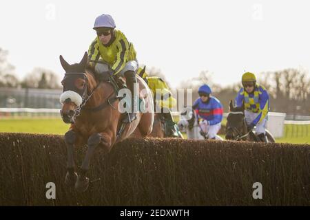 Harry Skelton riding Allmankind on their way to winning The Agetur UK ...
