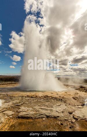 Huge geyser eruption of boiling hot steam at sunset in Iceland, near ...