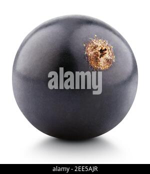 One black currant isolated on white background Stock Photo - Alamy