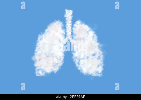 Human lungs shaped like a cloud on blue sky background. Cloudy in the ...