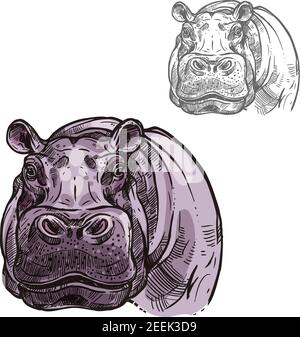 Hippopotamus head, hippo muzzle side, wild African animal icon. Vector ...