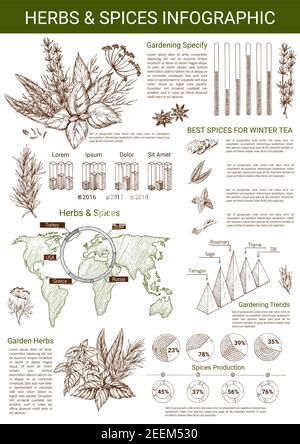 Herbs and spice infographic, cooking seasonings. Vector anise star and ...