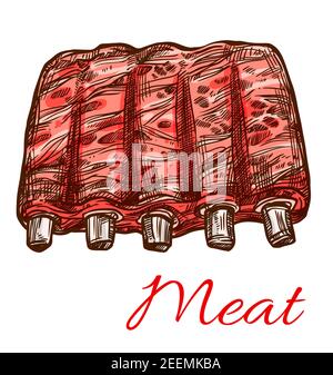 Hand drawn steak, ribs, fresh meat isolated on white background. Vector ...
