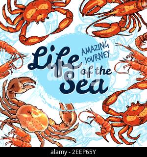 Crustaceans, shrimp, lobster or crayfish, crab with claws. River and ...