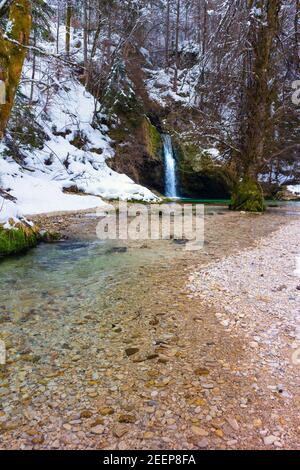 Small stream in winter forest Stock Photo - Alamy