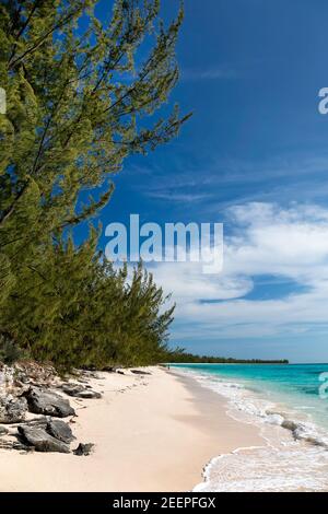 Beach, Cat Island, Bahamas Stock Photo - Alamy