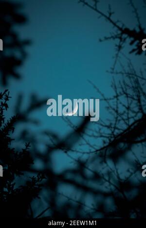 Photos of a starting moon Stock Photo - Alamy