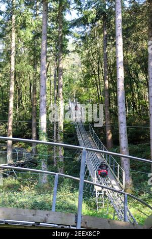 Zip World Fforest, Wales, UK Stock Photo - Alamy