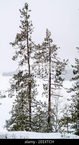 THE POINT & UPPER SARANAC LAKE LAKE SARANAC ADIRONDACKS NEW YORK USA ...