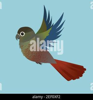 A very cute green cheek conure bird in the shape of an egg. Soft blue ...