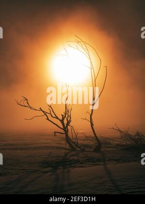 Steam Fog in Early Morning Stock Photo - Alamy