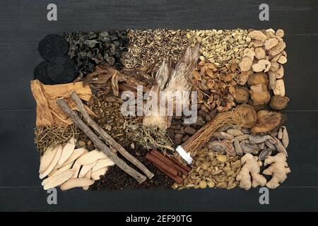 Stemona root herb used in traditional Chinese herbal medicine on white ...