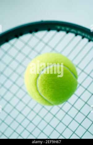 A selective focus shot of a ball on the grass near a tree Stock Photo ...