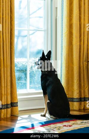 President Joe Biden works at the Resolute Desk, Wednesday, March 22 ...