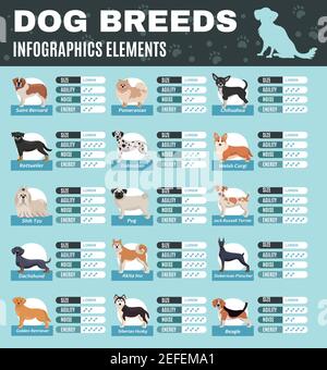 Colored breed dogs infographics with size agility noise and energy ...