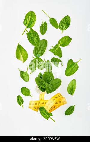 Many flying spinach leaves isolated on white Stock Photo - Alamy