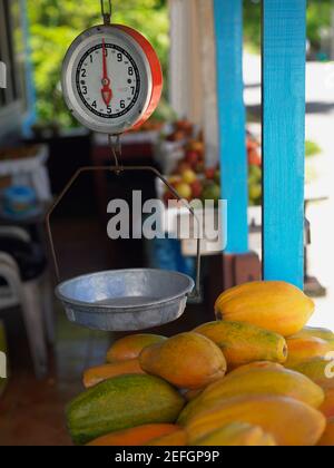Large ripe papayas on a market stall, an important, plentiful tropical ...