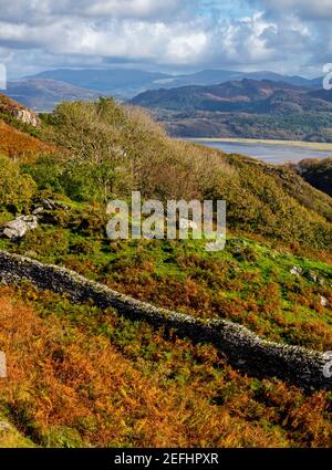 Barmouth and Mawddach Estuary North West Wales Stock Photo - Alamy