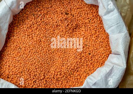 The lentil (Lens culinaris or Lens esculenta) is an edible legume. It ...