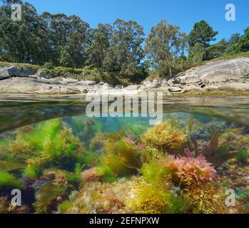 View over the beach and the Ocean in Skagen, Denmark Stock Photo - Alamy