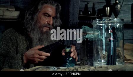 SINBAD AND THE EYE OF THE TIGER, Patrick Troughton, 1977 Stock Photo ...