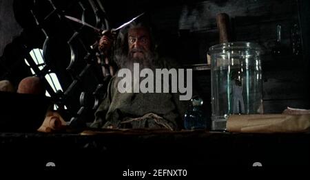 SINBAD AND THE EYE OF THE TIGER, Patrick Troughton, 1977 Stock Photo ...