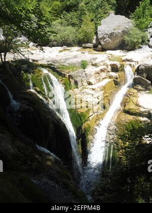 A vertical shot of a beautiful tree amid a rapeseed field under the ...
